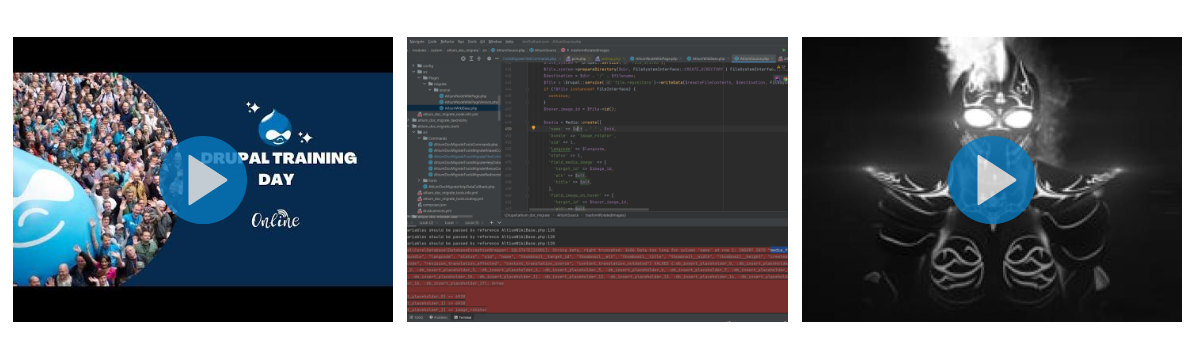 Extra Paragraph Types (EPT): Video and Image Gallery | Drupal.org